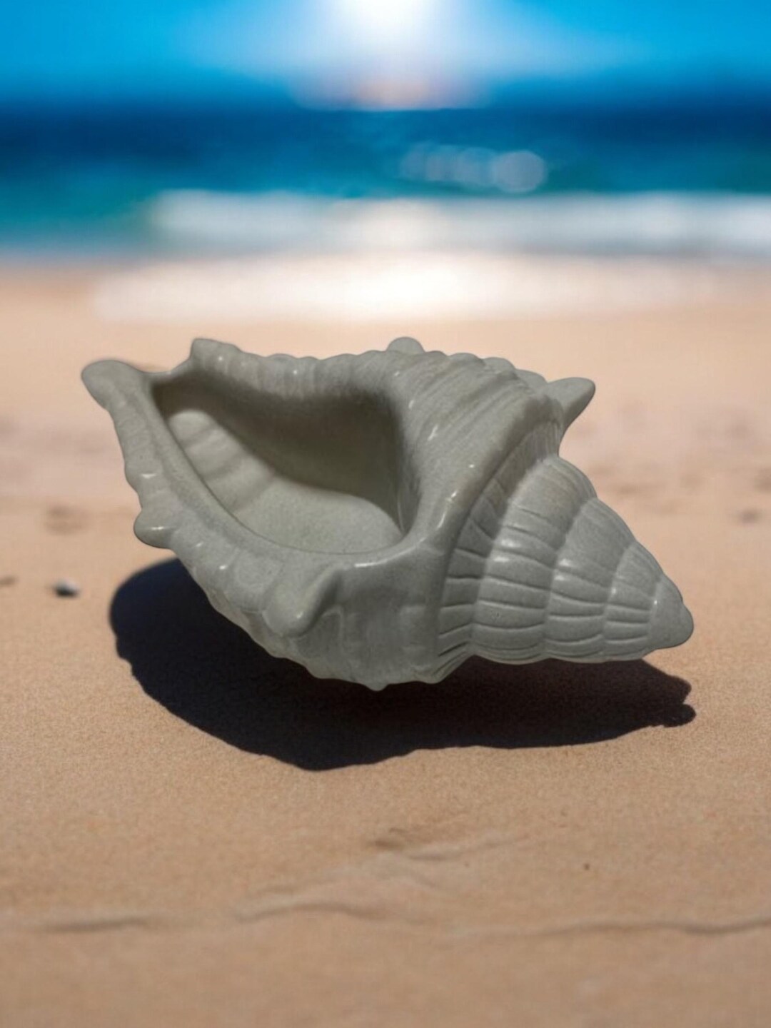 Smooth Concrete Nautical Seashell - Etsy