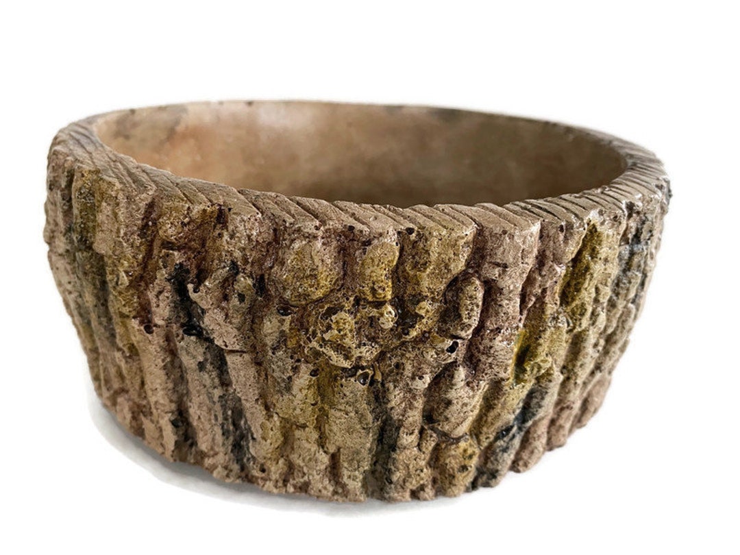 Concrete Oak Tree Bark Planter: Hand Stained Succulent Pot - Etsy