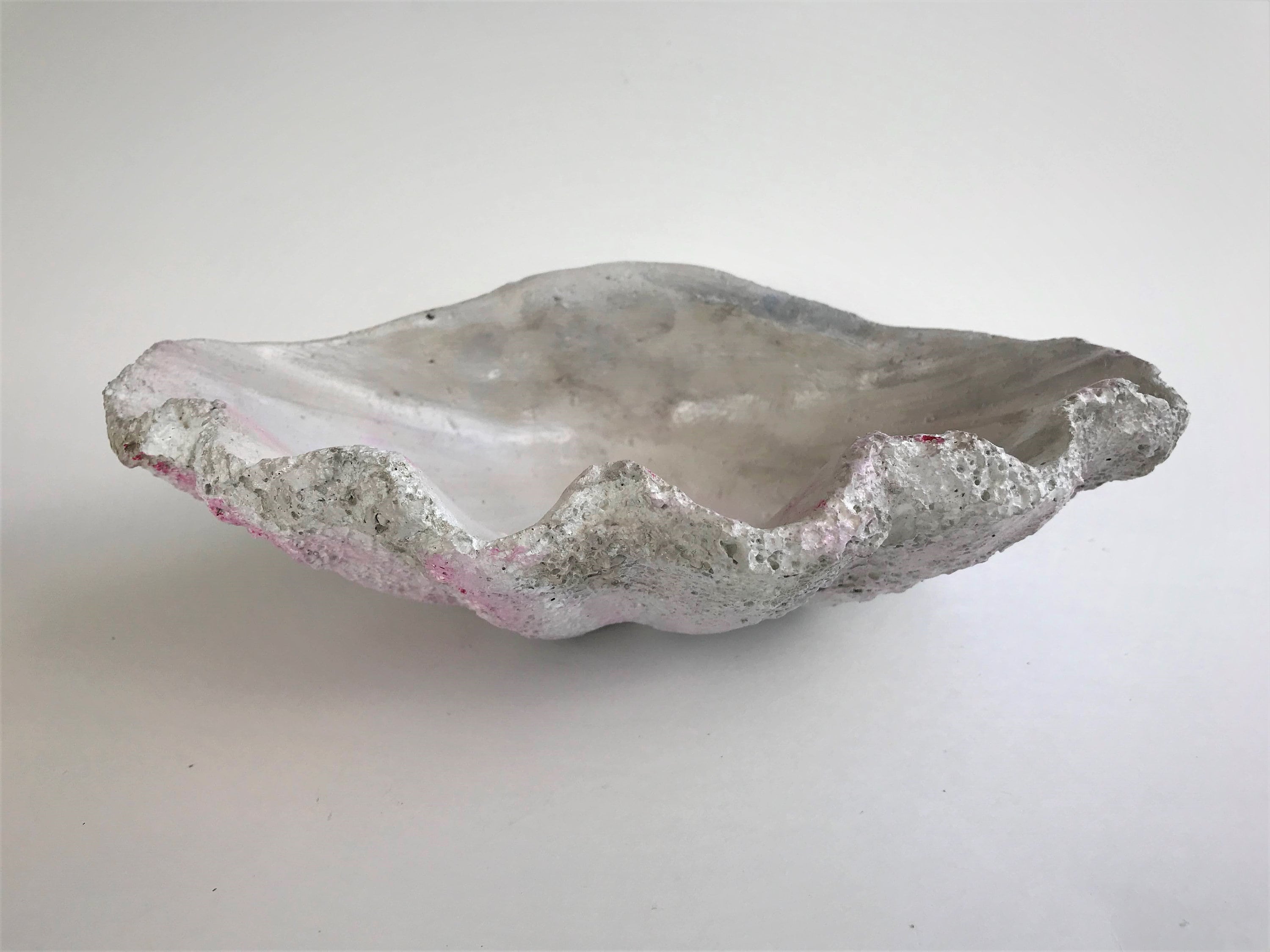 Concrete Clam Shell Vessel Clam Shell Bowl Clam Shell Tray | Etsy