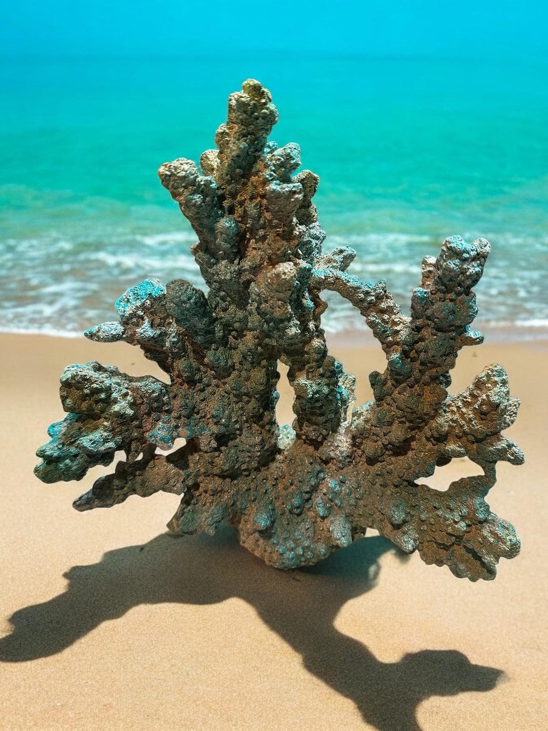 Concrete Coral Sculpture, Coral Decoration, Coral Tabletop Statue ...