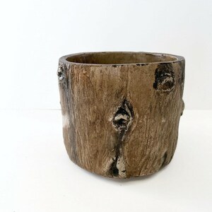 Concrete Bark Less Tree Stump Planter Pot, Tree Stump Planter, Bark ...