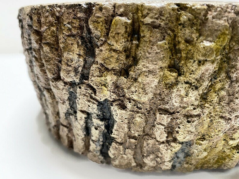 Concrete Shallow Tree Bark Planter | Etsy