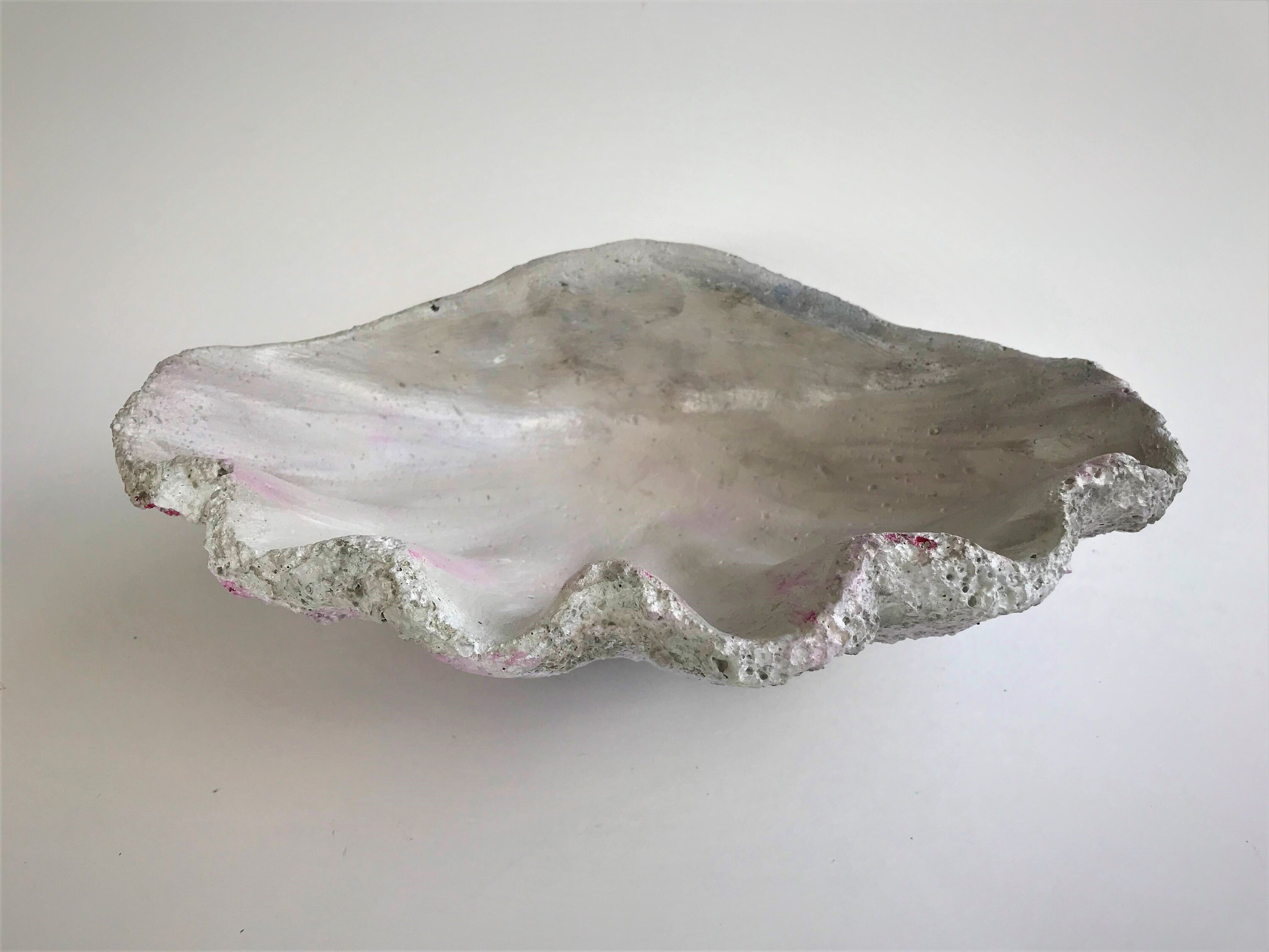 Concrete Clam Shell Vessel Clam Shell Bowl Clam Shell Tray | Etsy