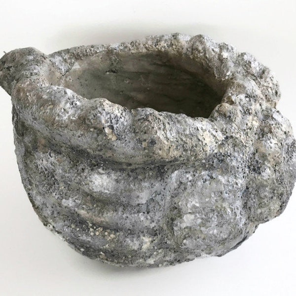 Shell Planter - Etsy