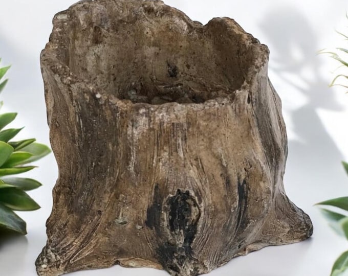 Tree Stump Planter, Tree Stump Pot, Succulent Tree Stump Pot, Succulent ...