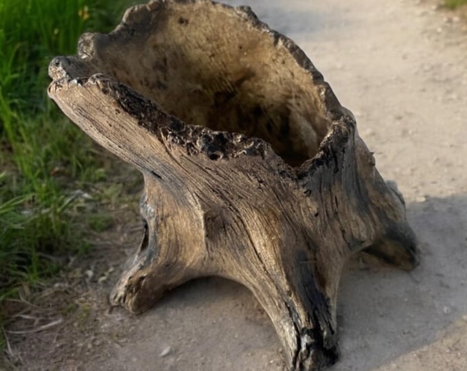 Slanted Artificial Concrete Driftwood Stump Planter, Faux Driftwood ...