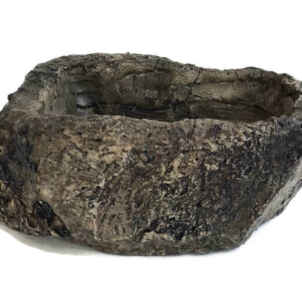 Succulent Container - Etsy