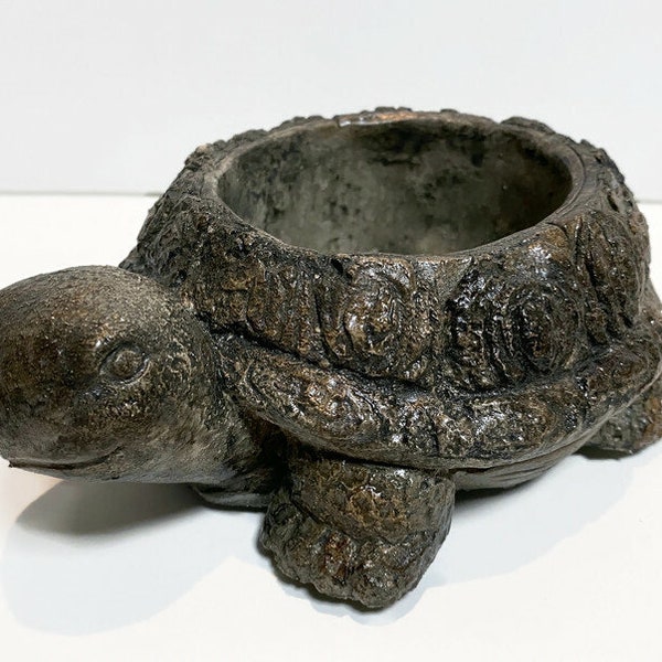 Succulent Planter - Shop Online - Etsy