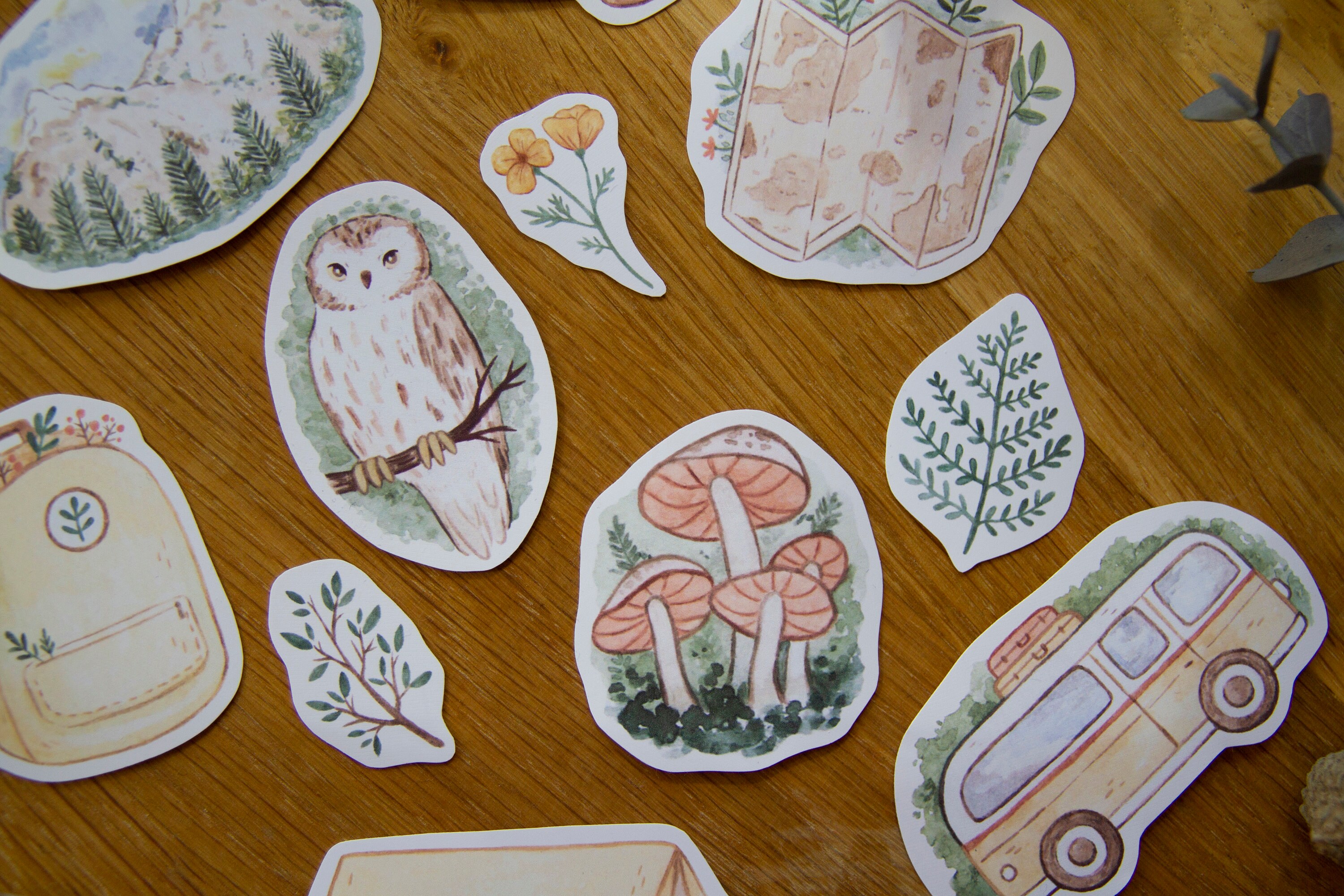 Adventure Vinyl Sticker Set | Etsy