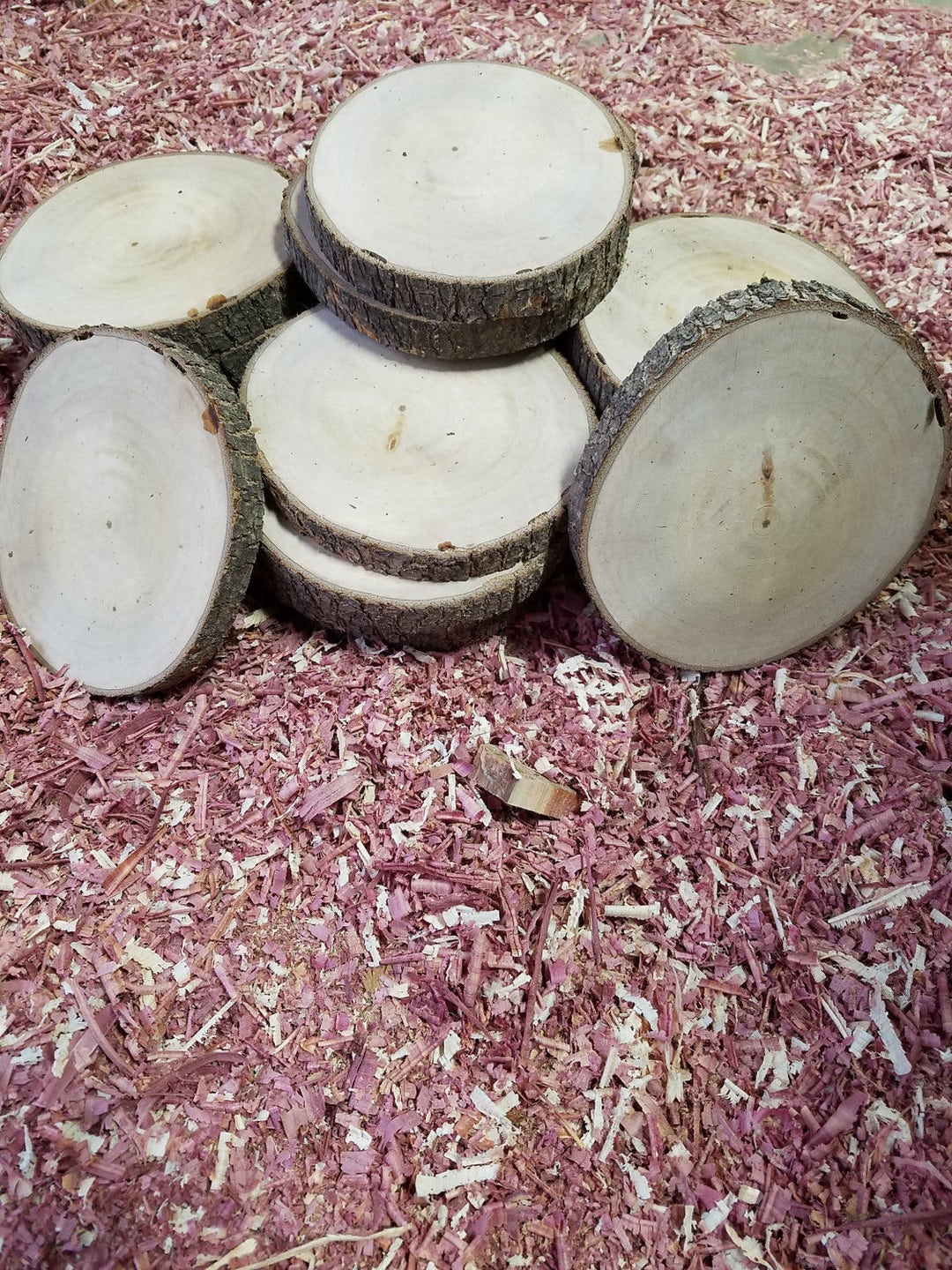 SPRING Sale 20 Beautiful Round Pear Slices 5 Inch Smooth FREE SHIPPING ...