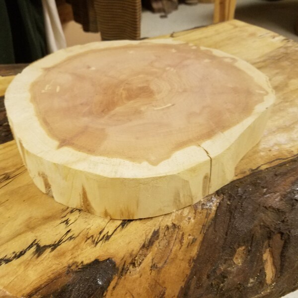 12 Inch Wood Slices - Etsy