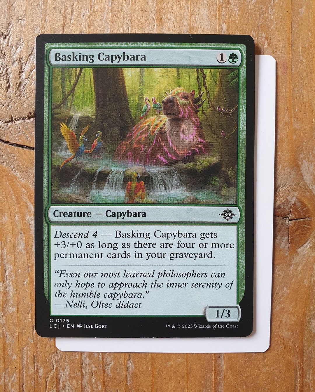 Basking Capybara AP - Etsy