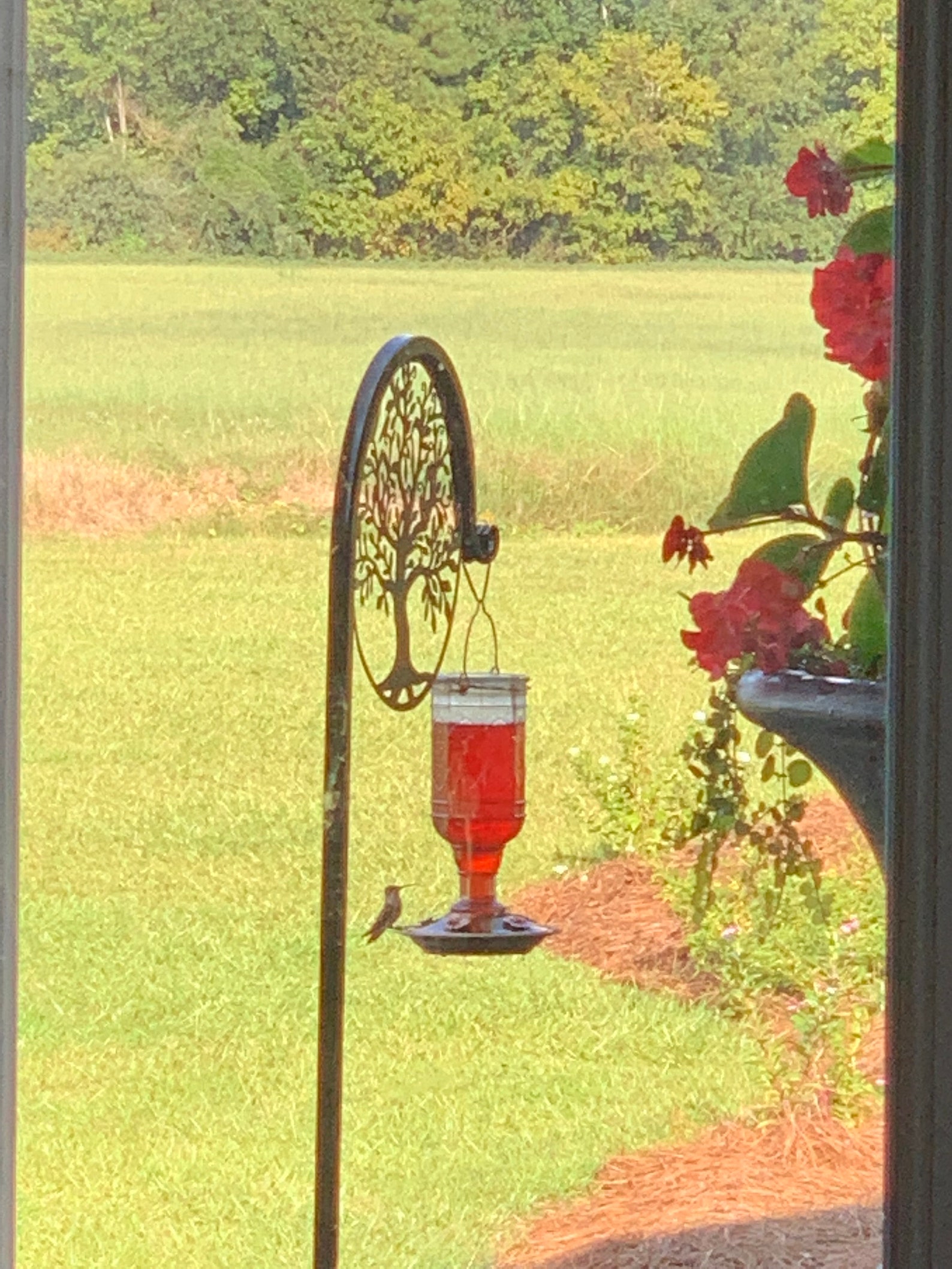Tree of Life Shepherd Hook With or Without Cardinal Red Bird-60" Tall ...