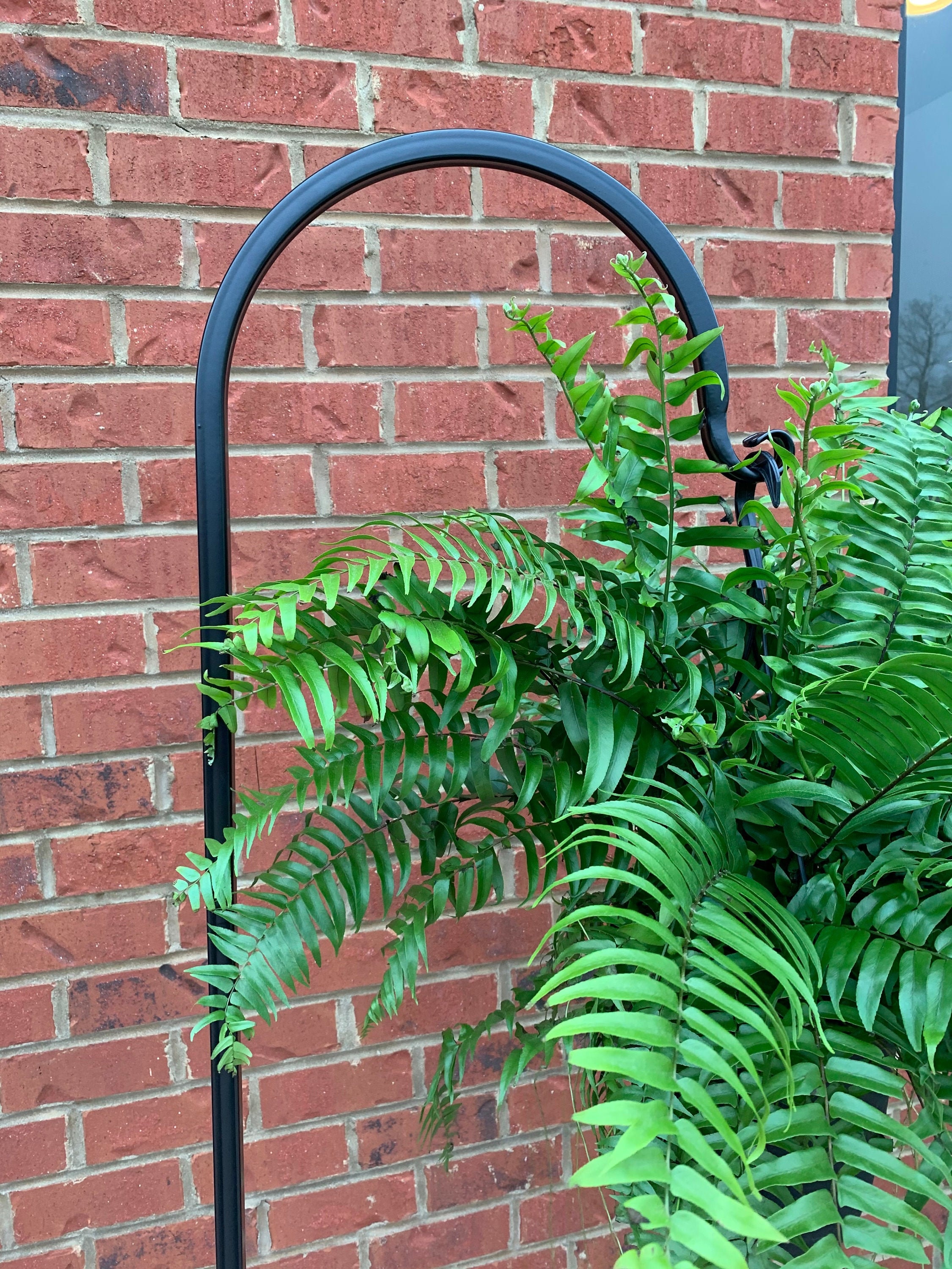 Shepherd Hook-metal Very Sturdy - Powder Coated Your Color Choice ...