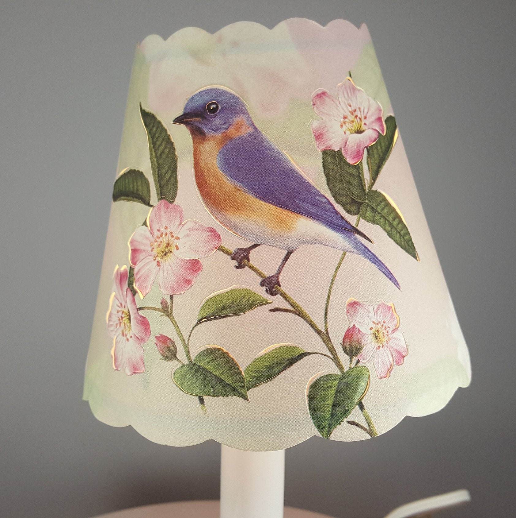 New 3x5x4.5 Cut Bluebird Lampshade 100% Recycled Material Candelabra - Etsy