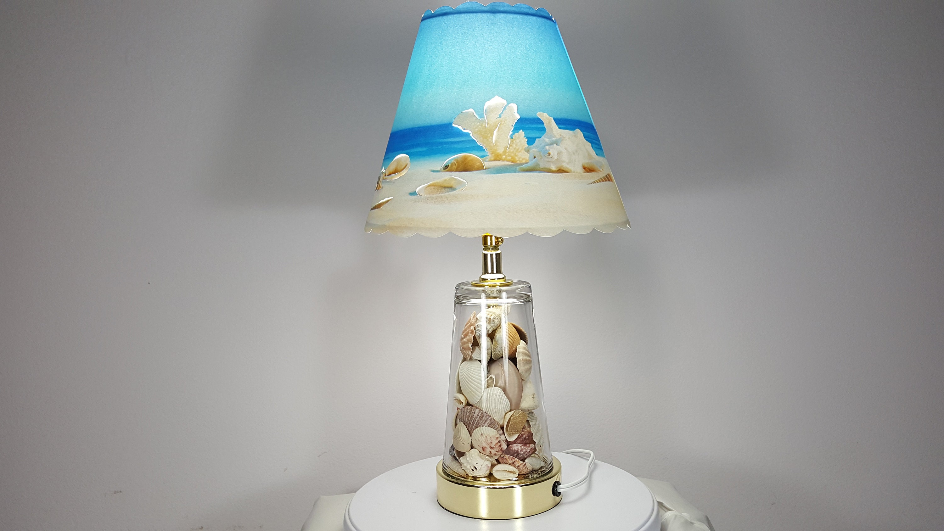15 Glass Shell Lamp W/ 4x8 Shell Shade - Etsy