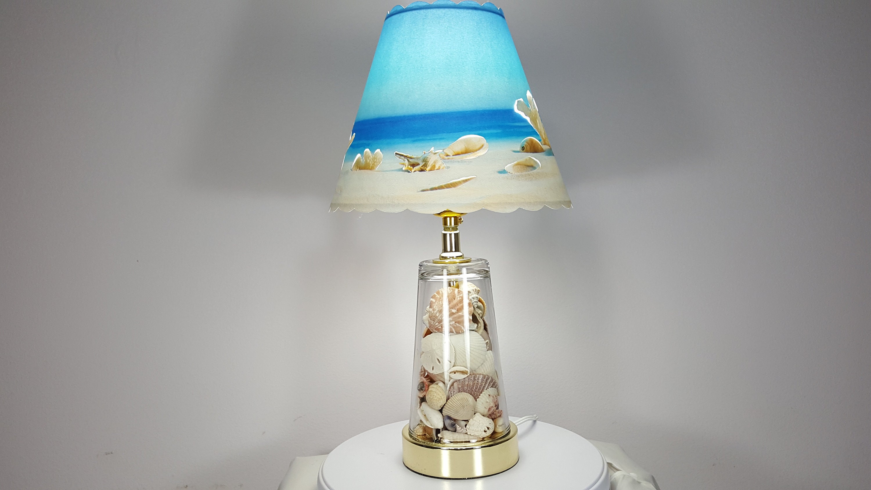 15 Glass Shell Lamp W/ 4x8 Shell Shade - Etsy