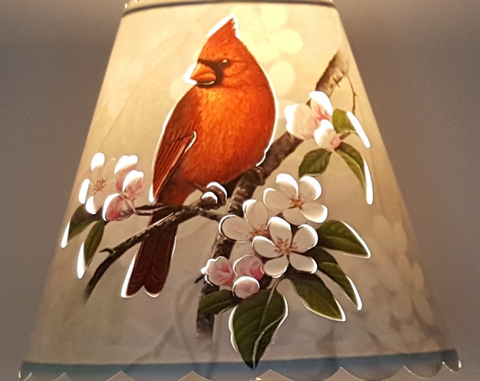 St Louis Cardinals Lamp Shade - Etsy