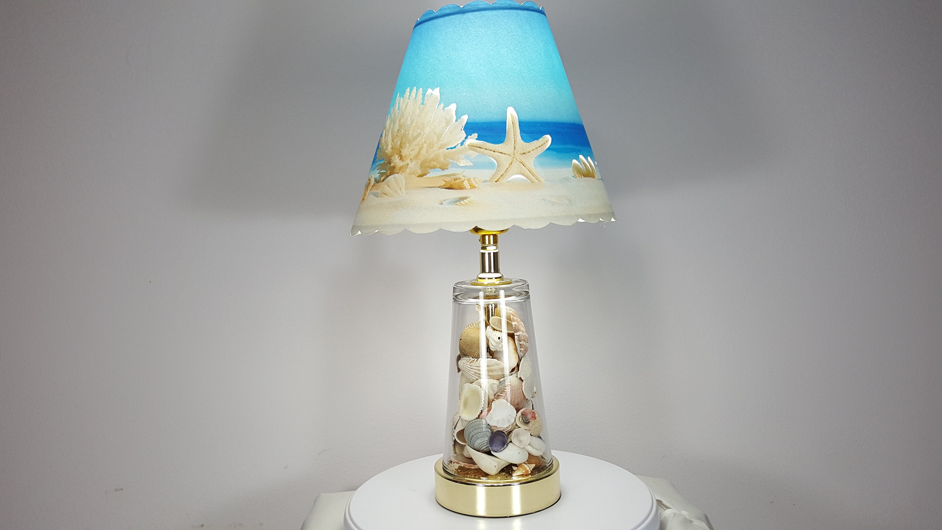 15 Glass Shell Lamp W/ 4x8 Shell Shade - Etsy