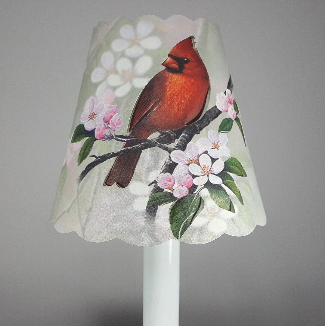 New 3x5x4.5 Cut Cardinal Lampshade 100% Recycled Material Candelabra - Etsy