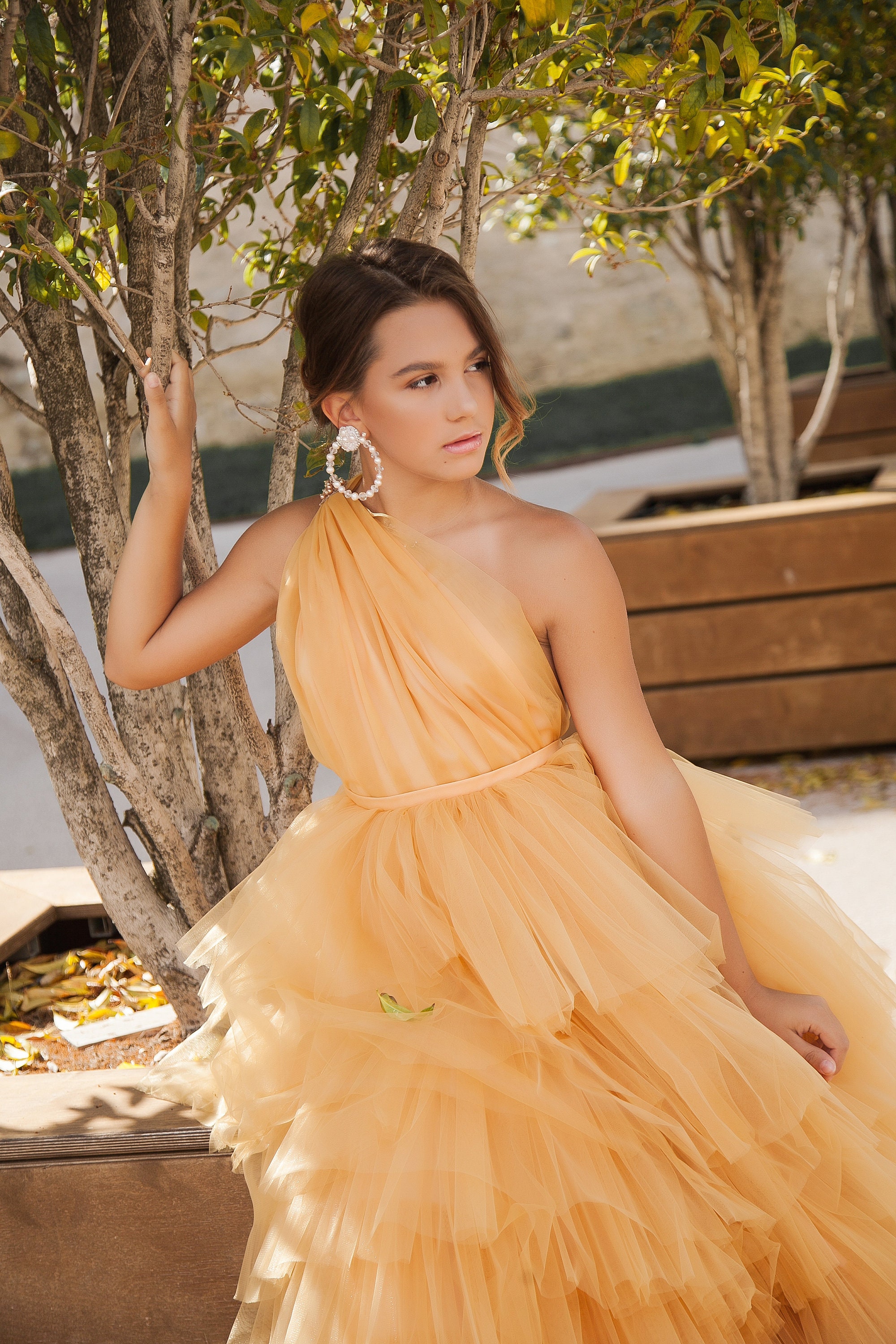 Golden Tulle Tiered Dress, Prom Dress, Women Tulle Dress, Evening Long ...