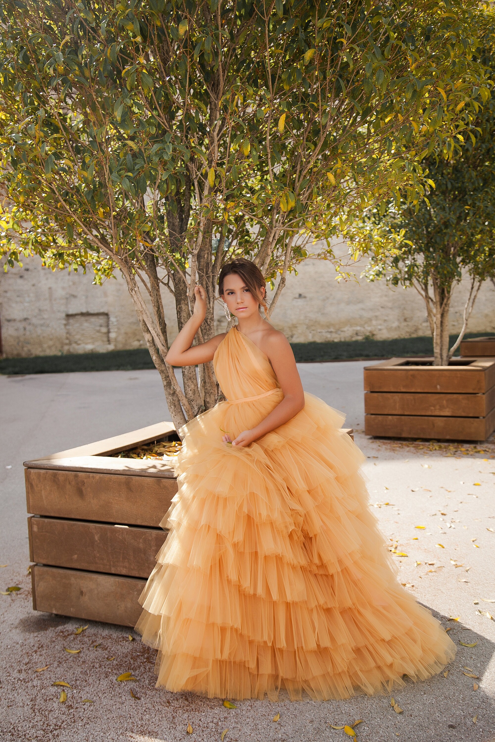 Golden Tulle Tiered Dress, Prom Dress, Women Tulle Dress, Evening Long ...