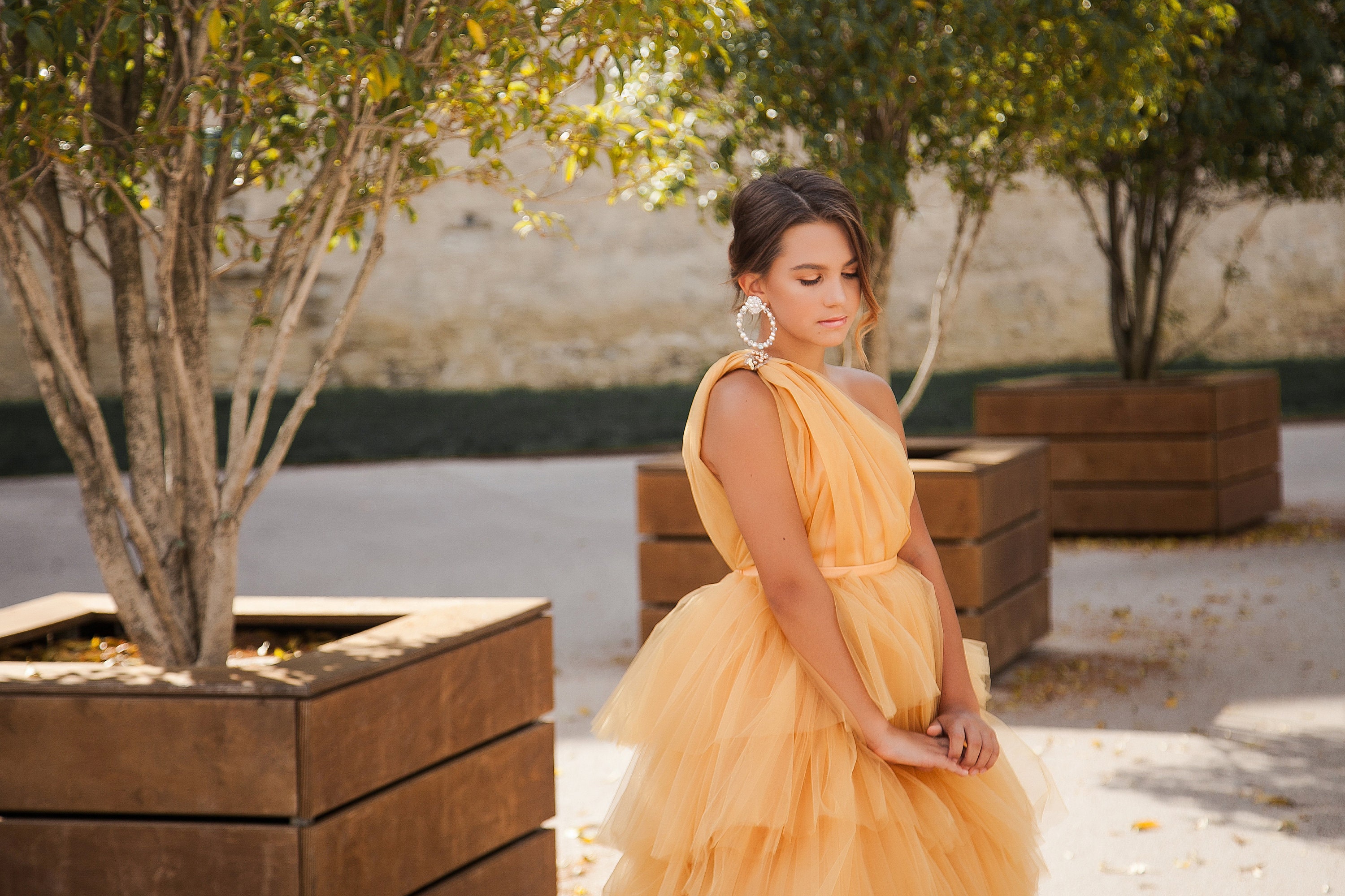 Golden Tulle Tiered Dress, Prom Dress, Women Tulle Dress, Evening Long ...