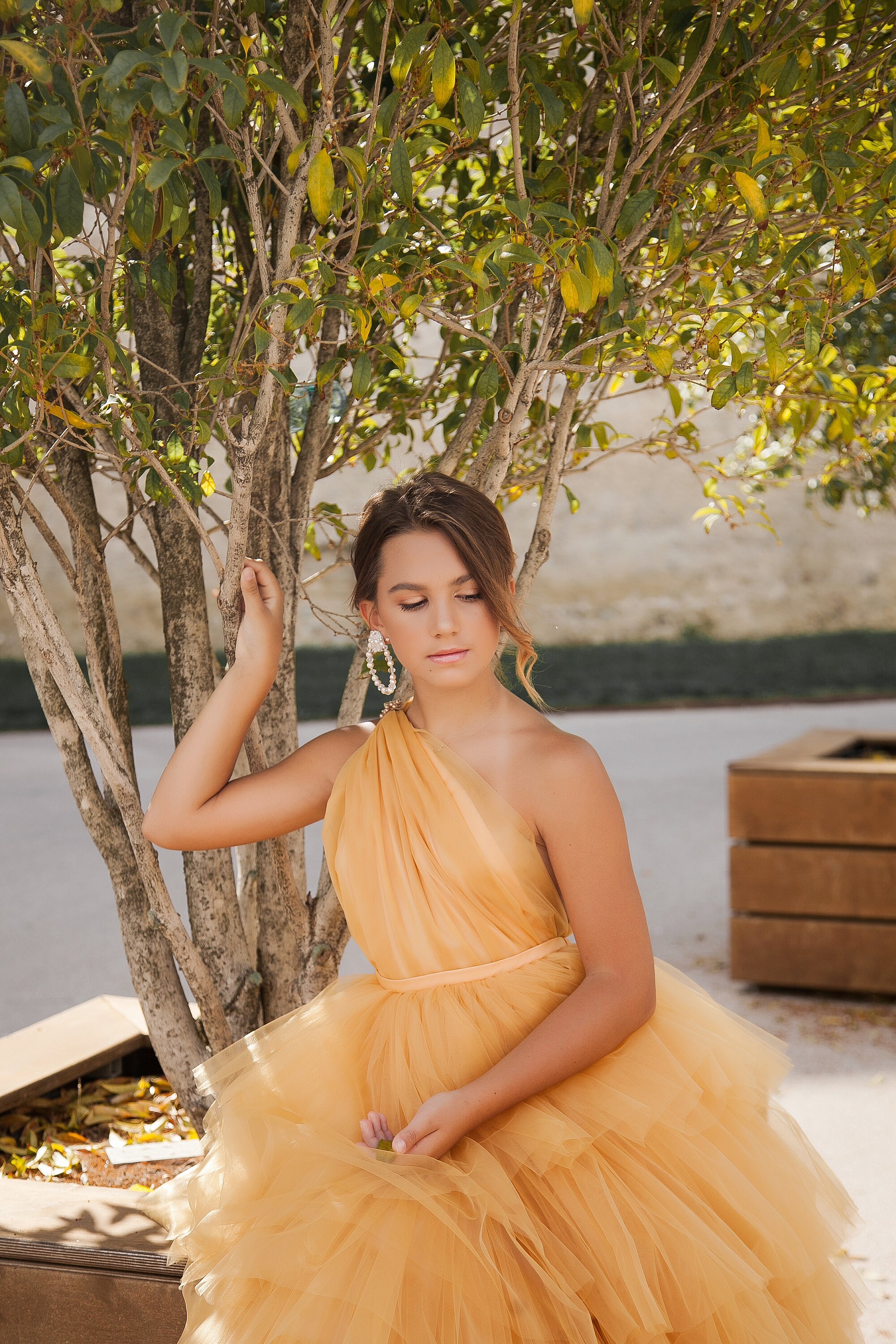 Golden Tulle Tiered Dress, Prom Dress, Women Tulle Dress, Evening Long ...
