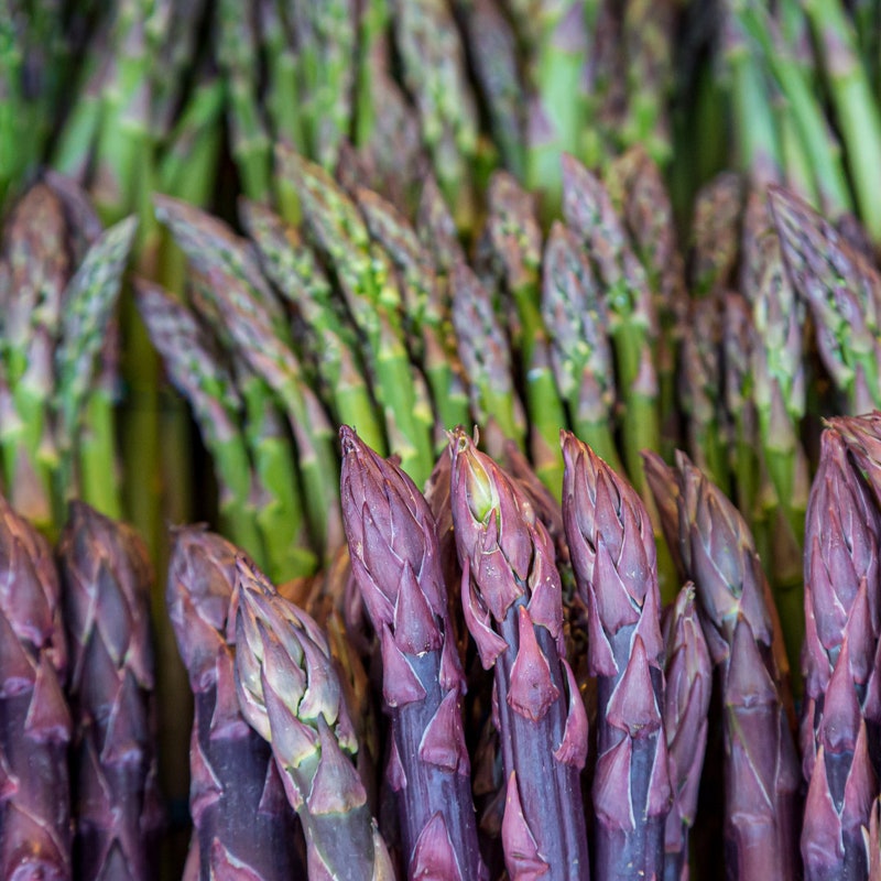 Purple Nursery World - Etsy