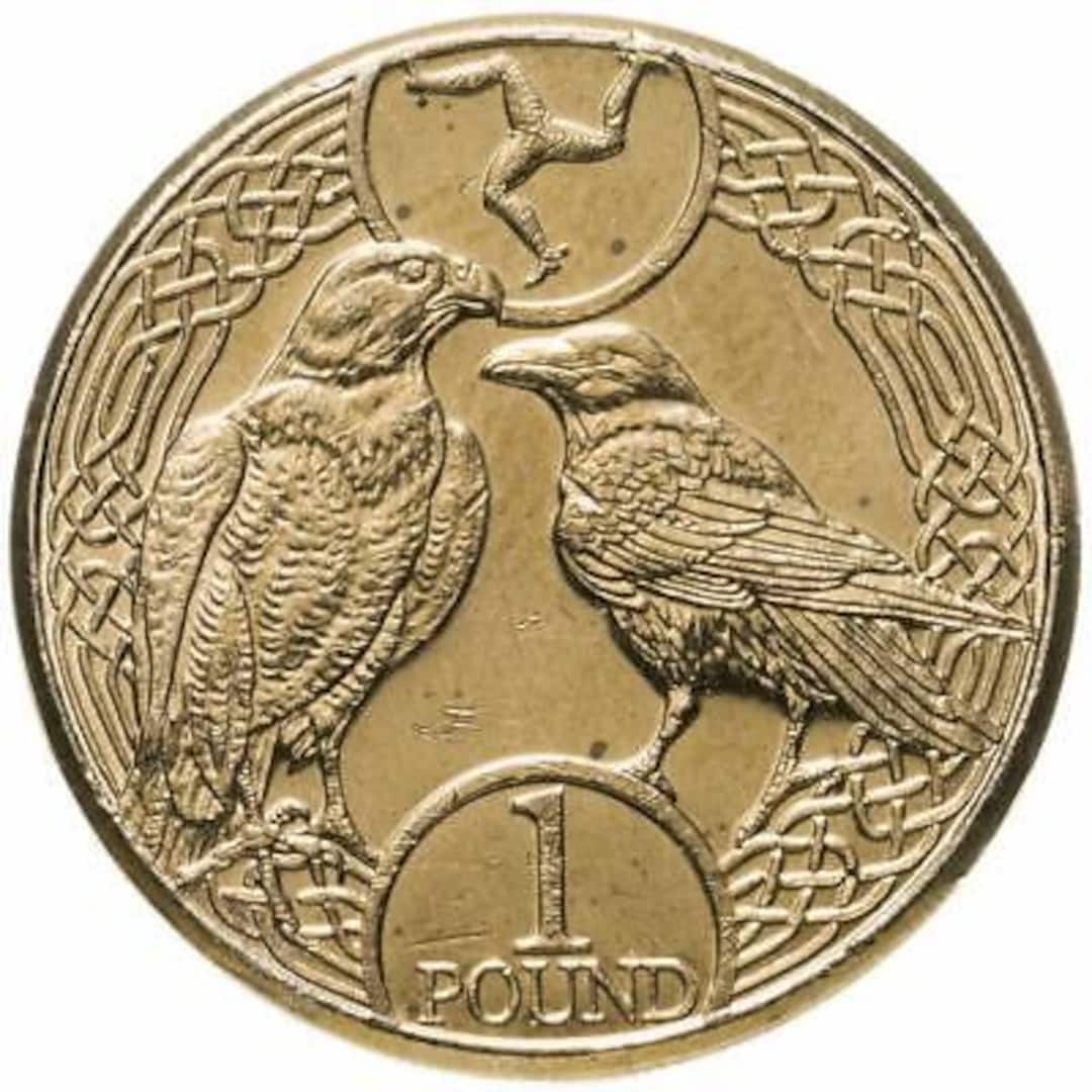 Isle of Man 1 Pound Coin | Falcon | Raven | 2017 - 2020 - Etsy