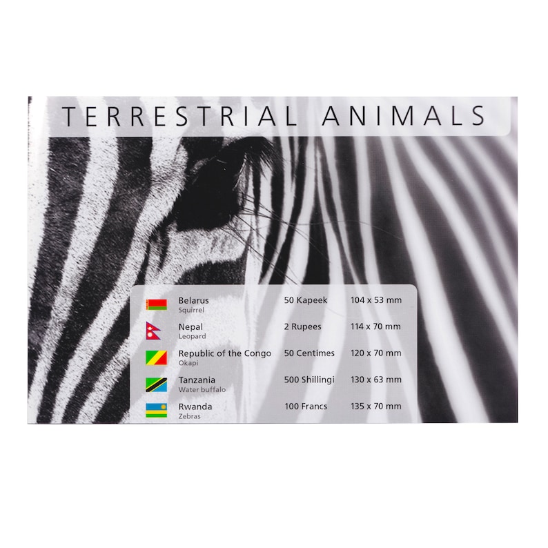 5 Banknote Set | Terrestrial Animals | Squirrel | Leopard | Okapi ...