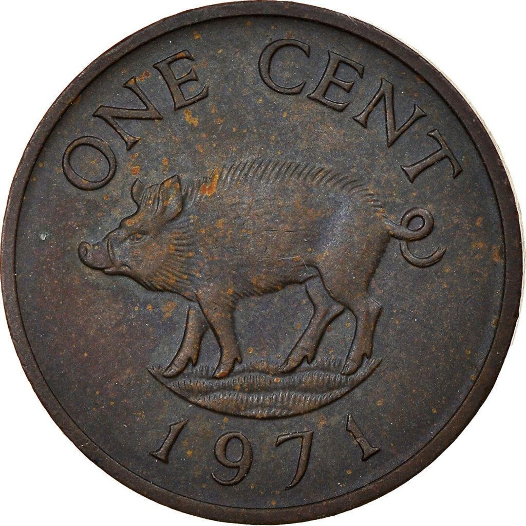 Bermudian 1 Cent Coin | Queen Elizabeth II | Wild Boar | Bermuda | 1970 ...