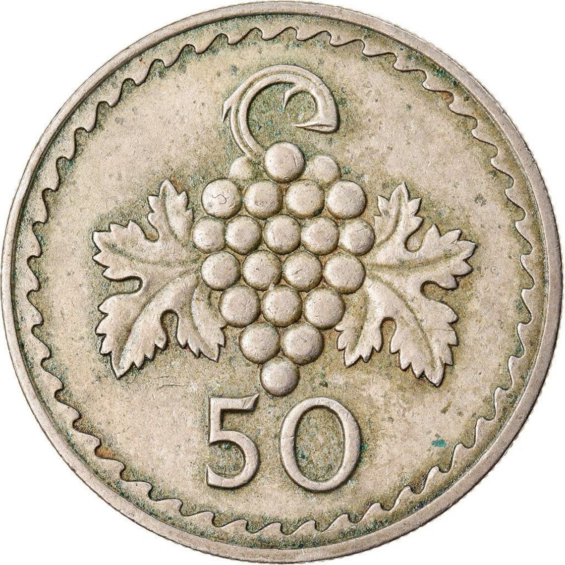 Cyprus 50 Mils Coin | Grapes | 1963 - 1982 - Etsy