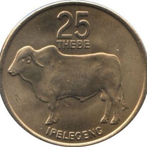 Batswana 25 Thebe Coin | Zebu | 1976 - 1989 - Etsy