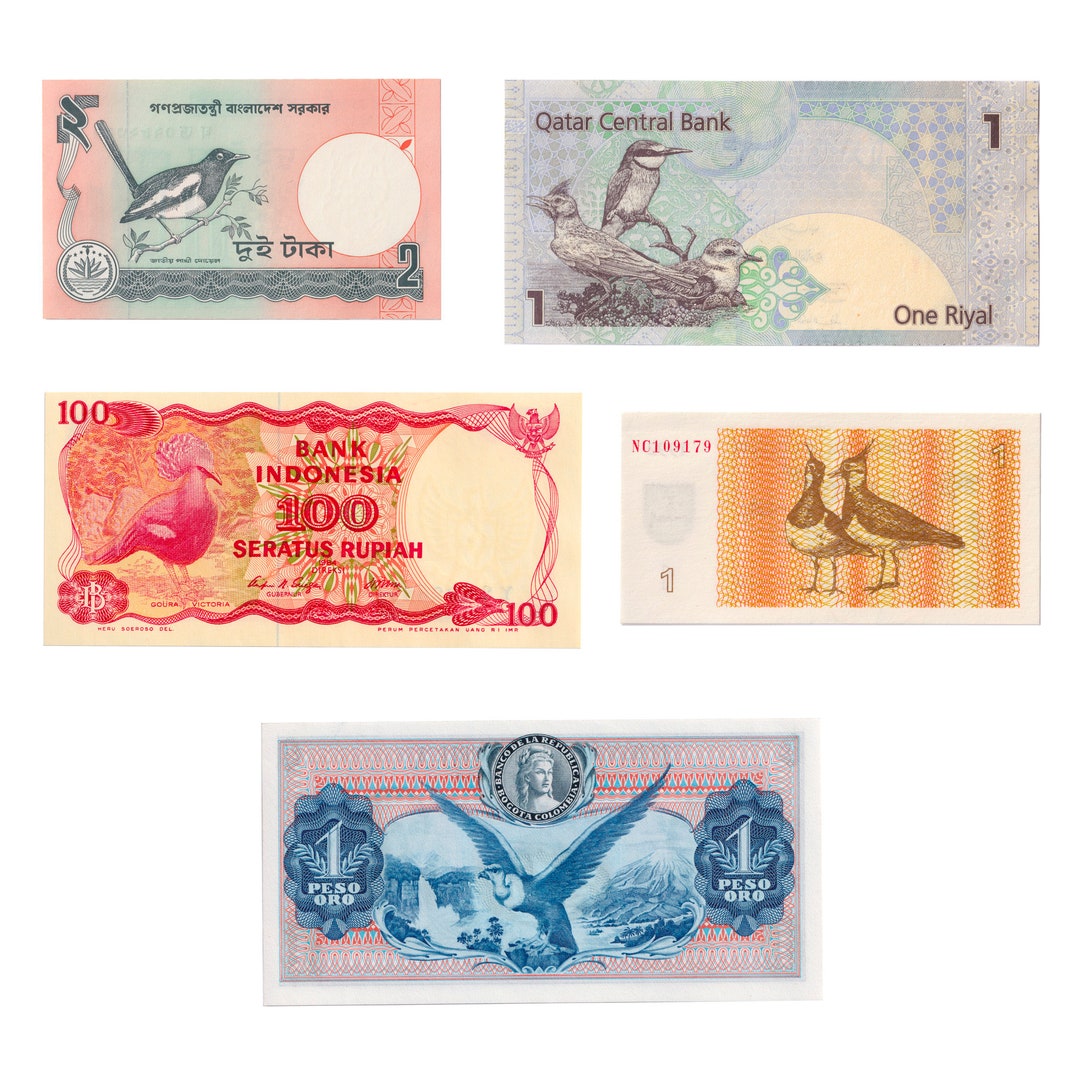 5 Banknote Collection | Birds | Magpie Robin | Vanellus | Pigeon ...