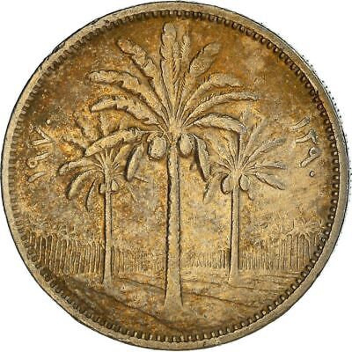 Iraq 50 Fils Coin | Palm Tree | 1969 - 1990 - Etsy