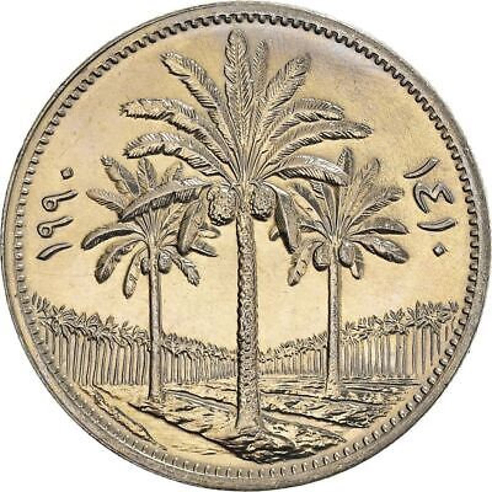 Iraq 50 Fils Coin | Palm Tree | 1969 - 1990 - Etsy