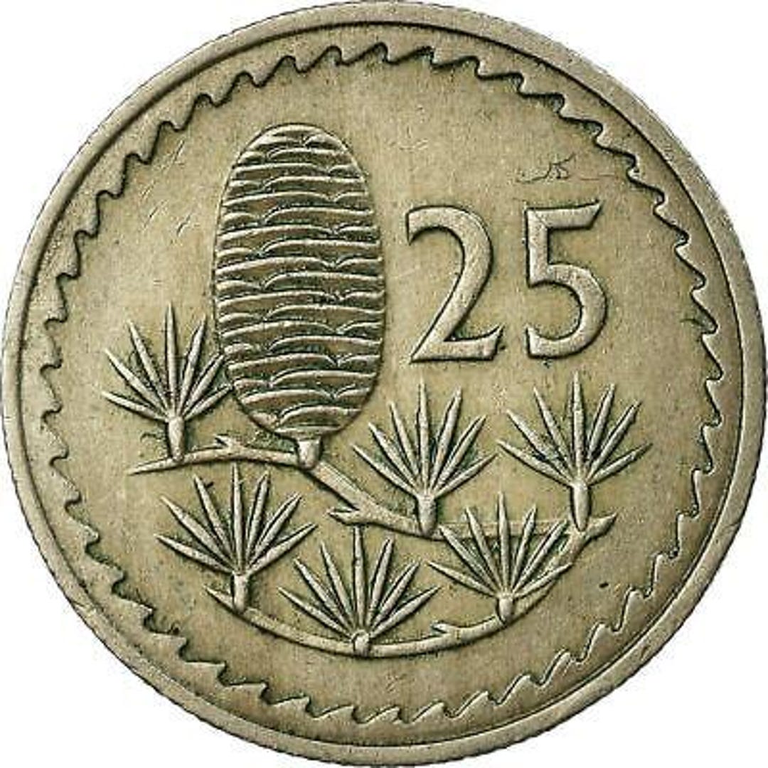 Cyprus 25 Mils Coin | Cedar Tree | 1963 - 1982 - Etsy