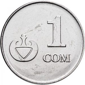 Kyrgyzstan 1 Som Coin | Falcon | Kookor | KM14 | 2008 - Etsy