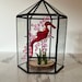 Pink Leafy Sea Dragon Terrarium - Etsy