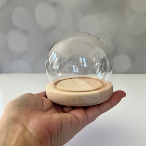 Round Glass Cloches - Etsy