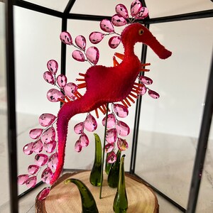 Pink Leafy Sea Dragon Terrarium - Etsy