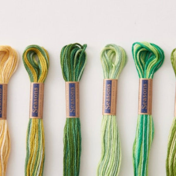 Dmc Variegated Floss - Etsy