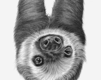 Sloth and Hummingbird Pencil Drawing Print, Original Drawing 3x2 Print ...