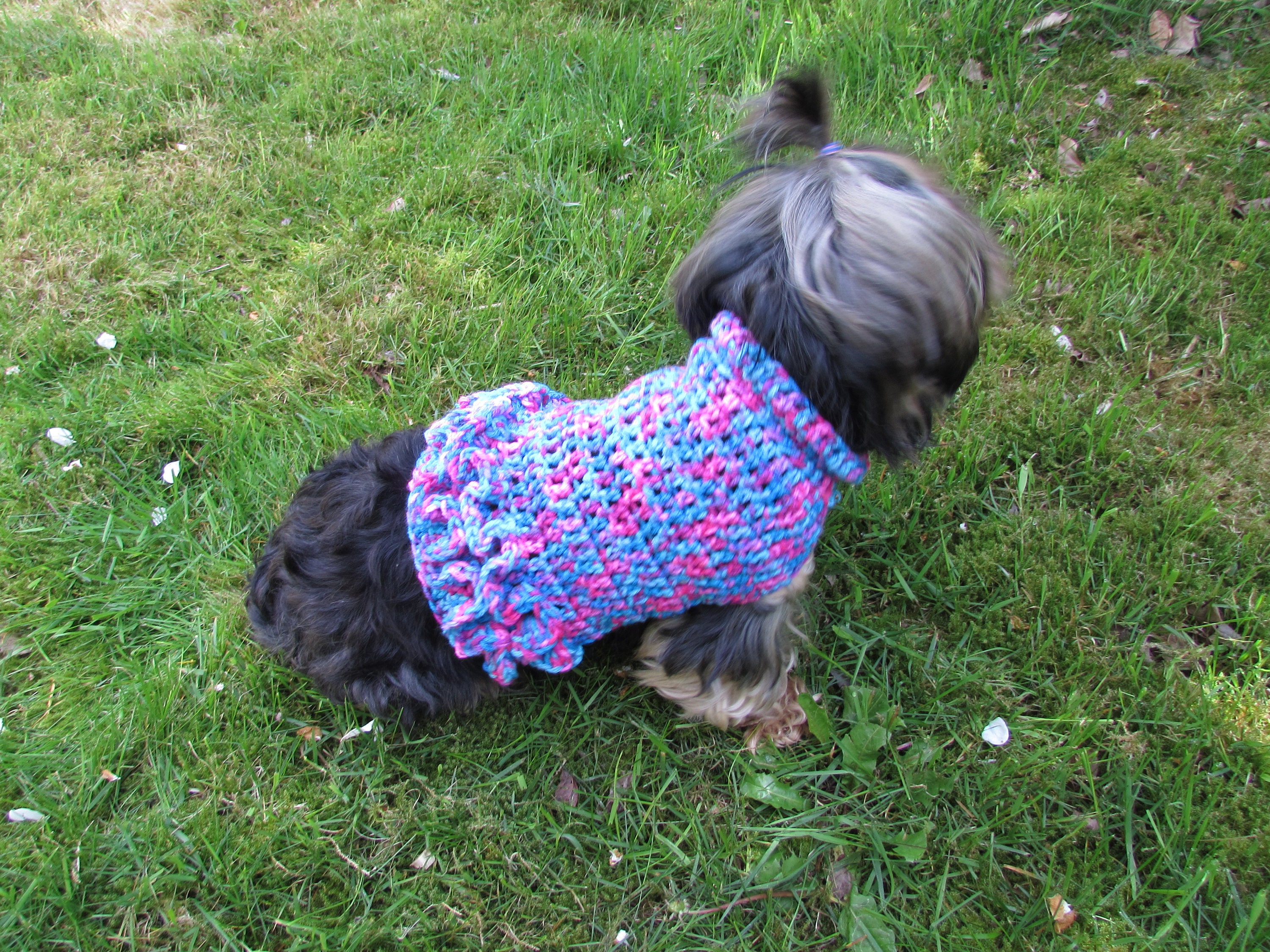 CROCHET PATTERN PDF | Small Dog Sweater With Ruffles - Etsy