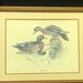 Don Whitlatch Signed and Numbered wood Duck Lithograph ART10124 - Etsy