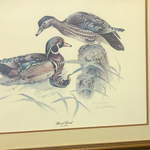 Don Whitlatch Signed and Numbered wood Duck Lithograph ART10124 - Etsy