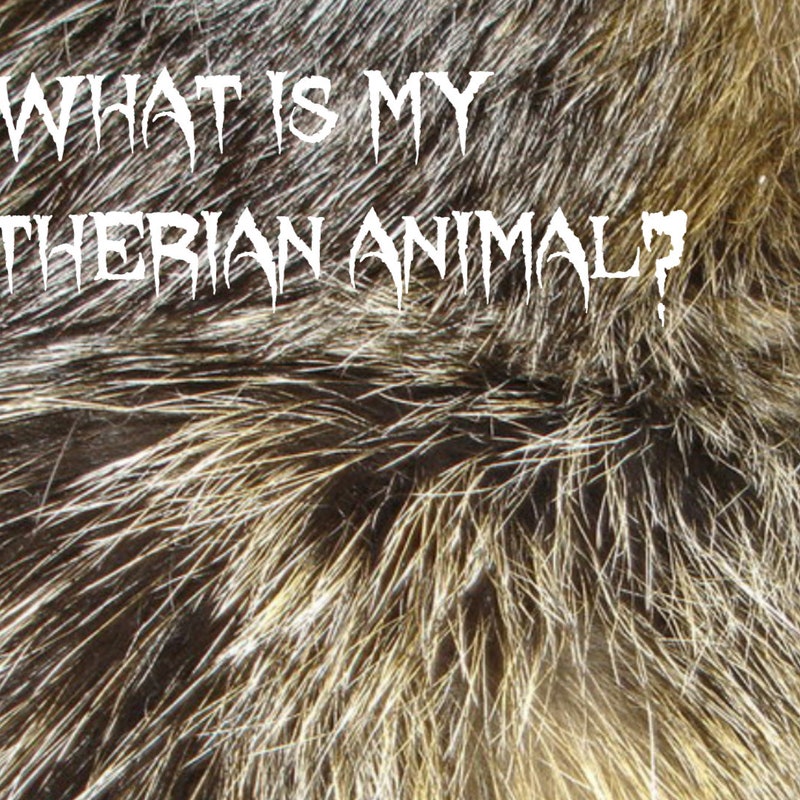 Therian Room Decor - Etsy