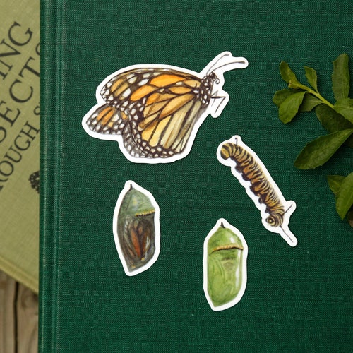 Monarch Caterpillar Ornament Milkweed Monarch Instar Black | Etsy