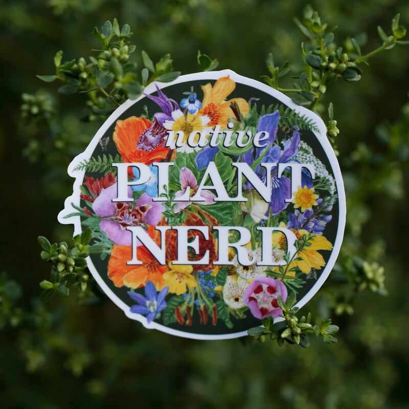 Native Plant - Etsy